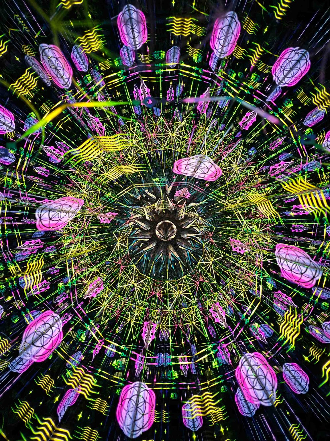 Gallery – Budderscopes