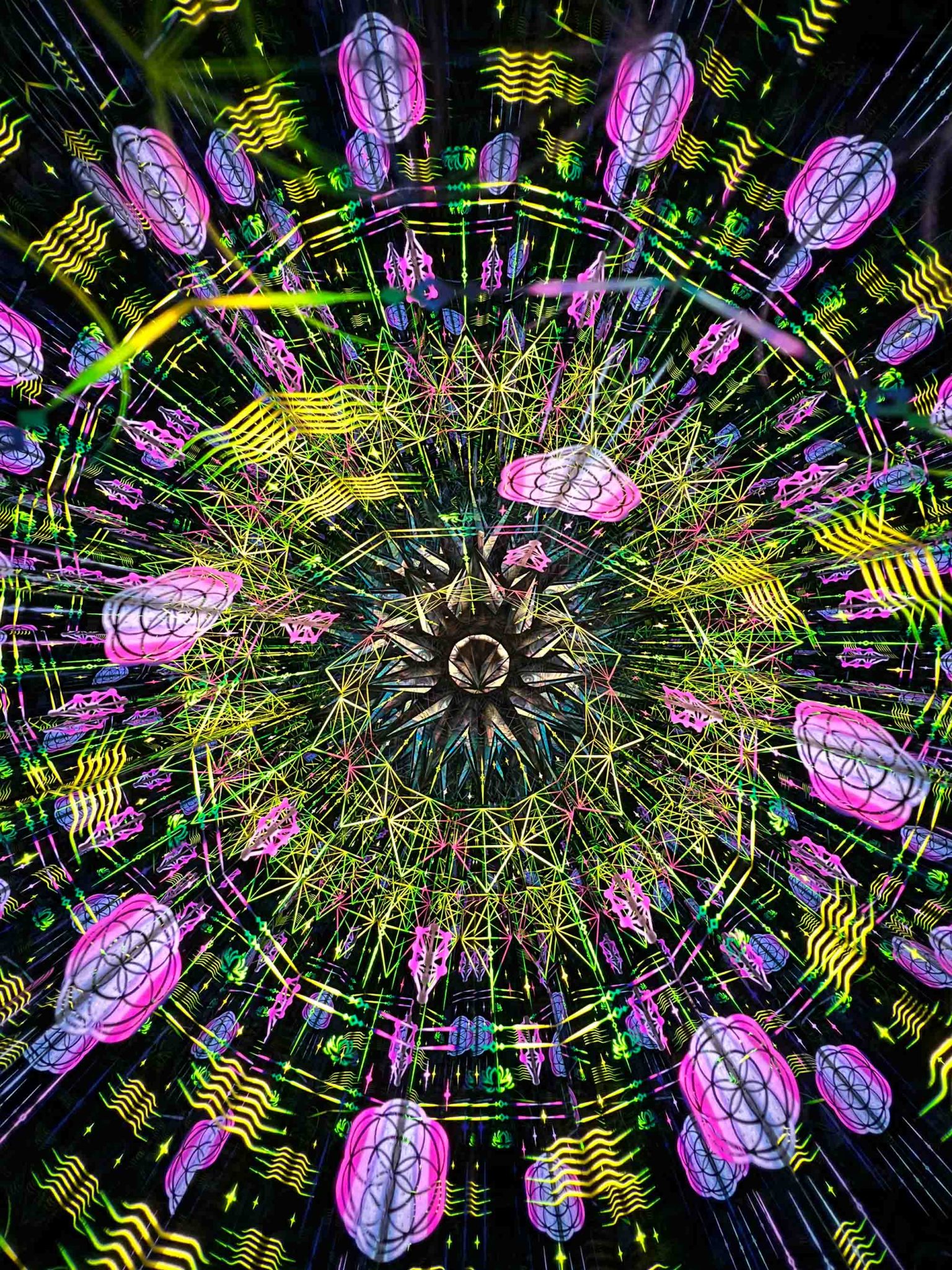 Gallery – Budderscopes