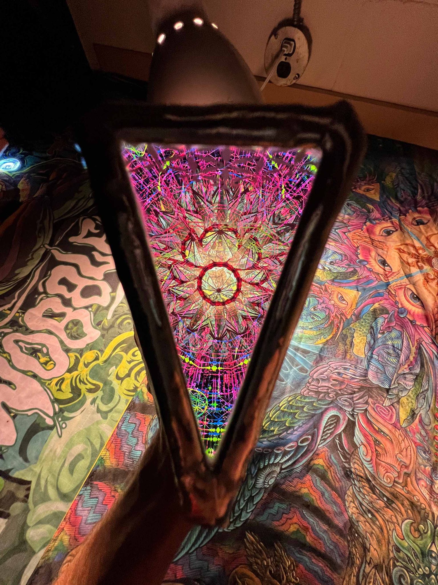 Gallery – Budderscopes