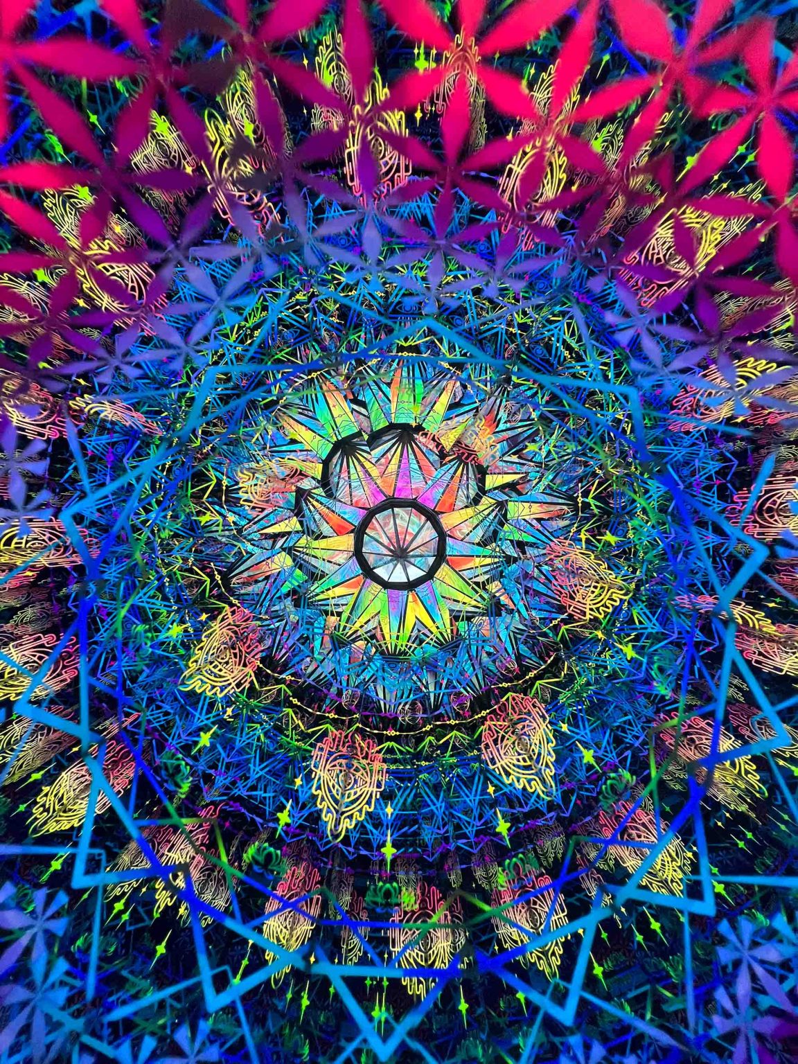 Gallery – Budderscopes