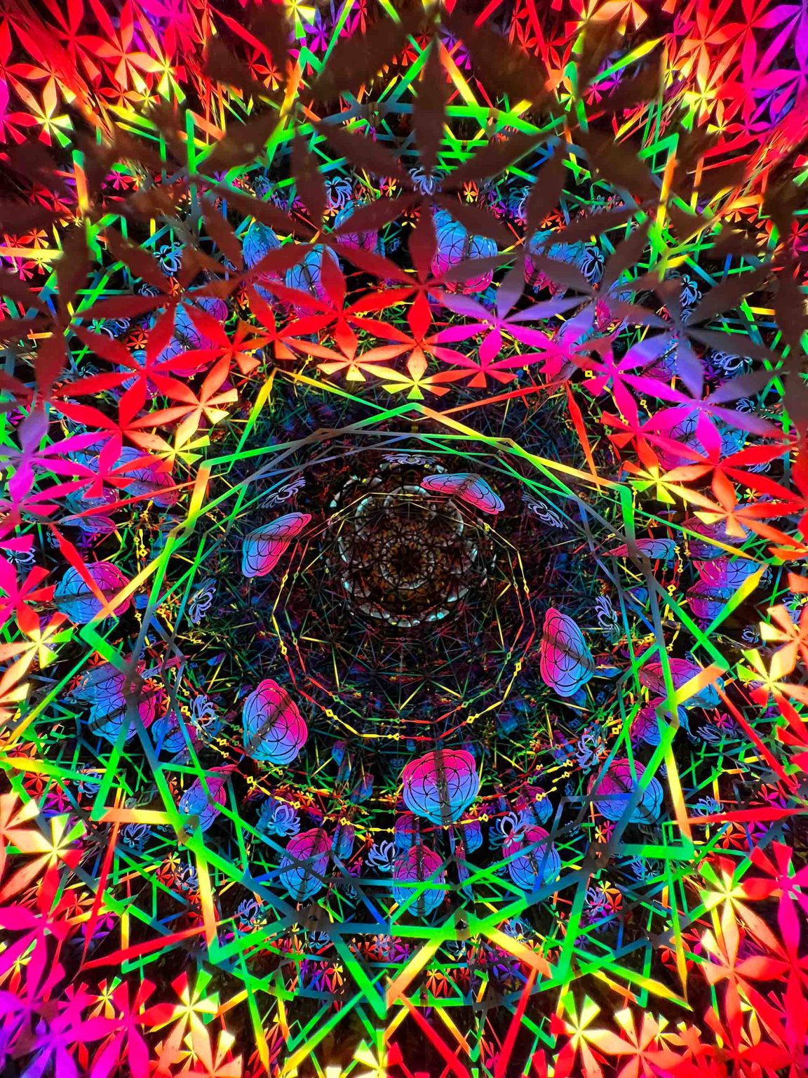 Gallery – Budderscopes