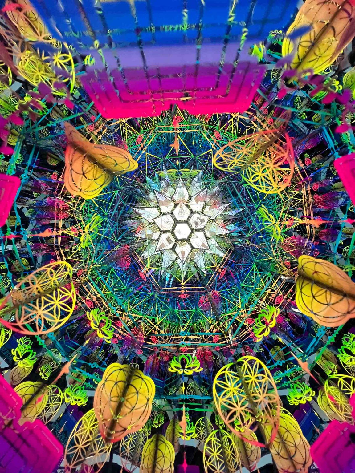 Gallery – Budderscopes