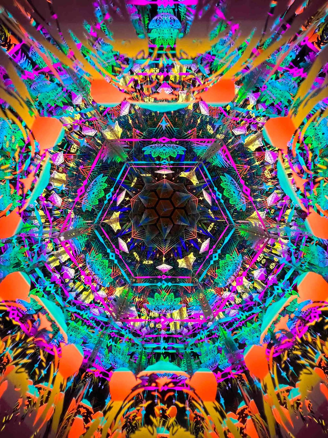 Gallery – Budderscopes