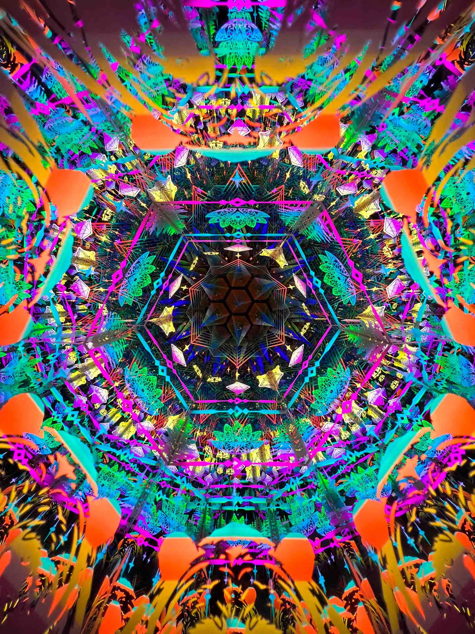 Gallery – Budderscopes