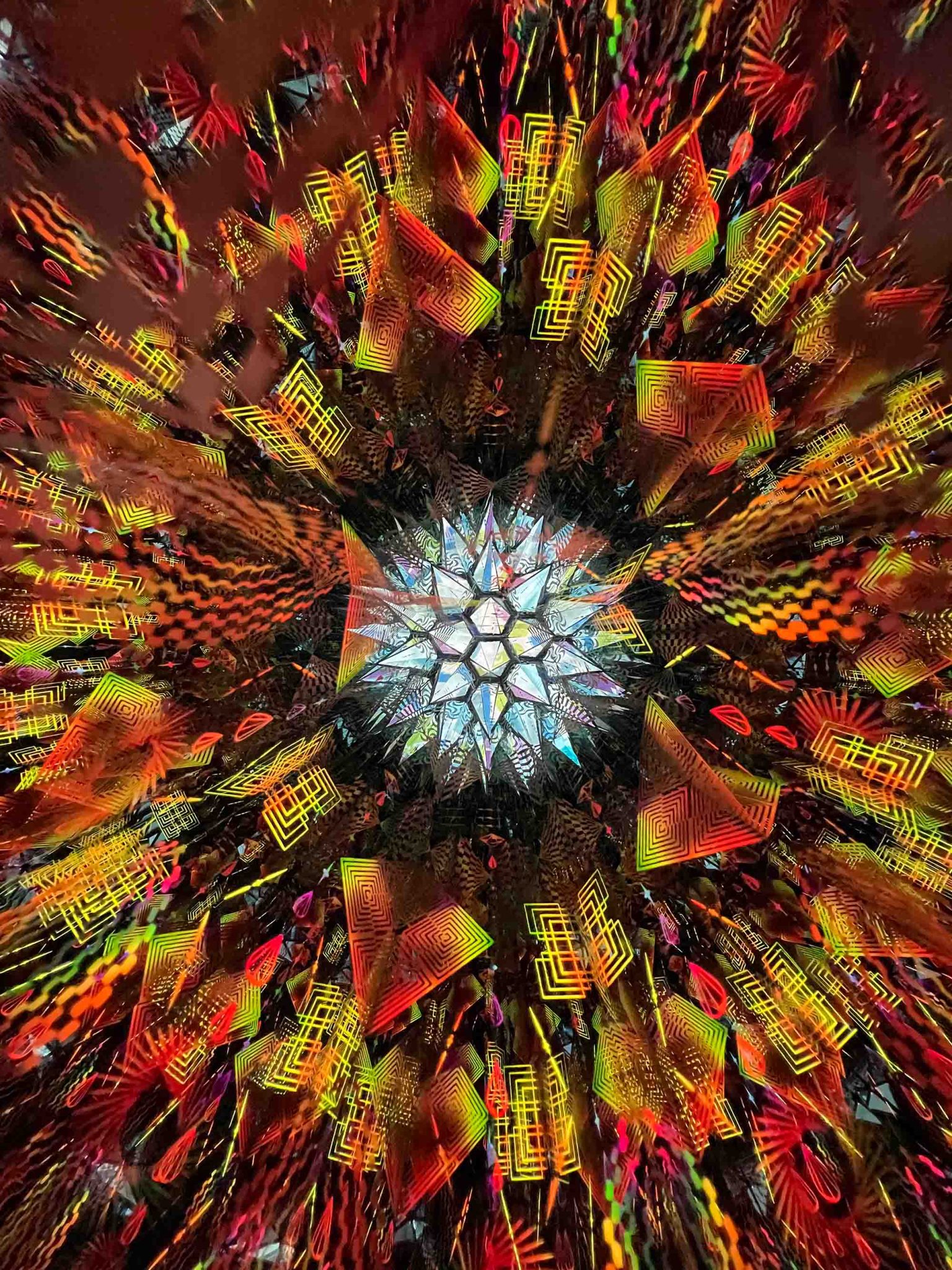 Gallery – Budderscopes