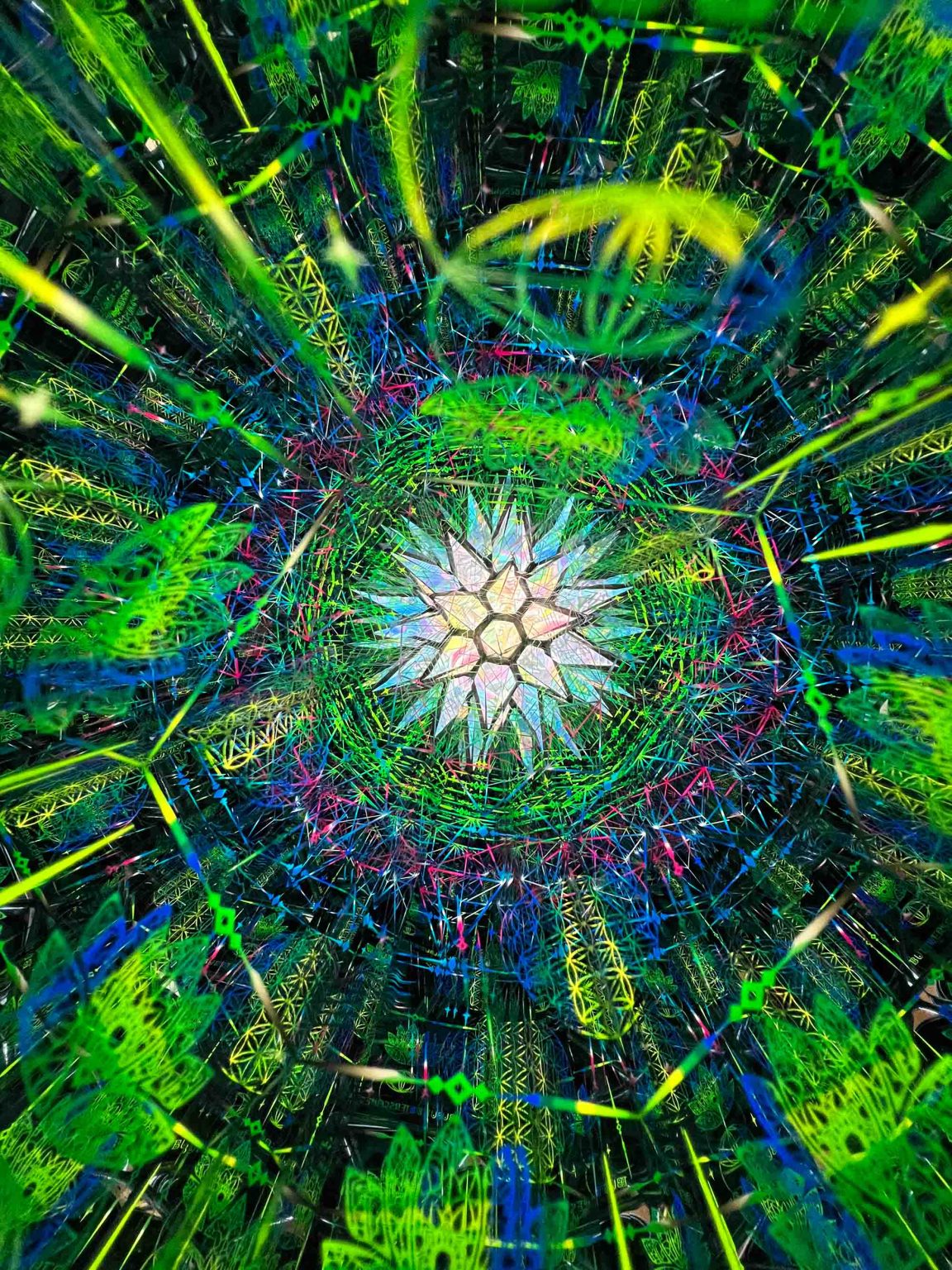 Gallery – Budderscopes