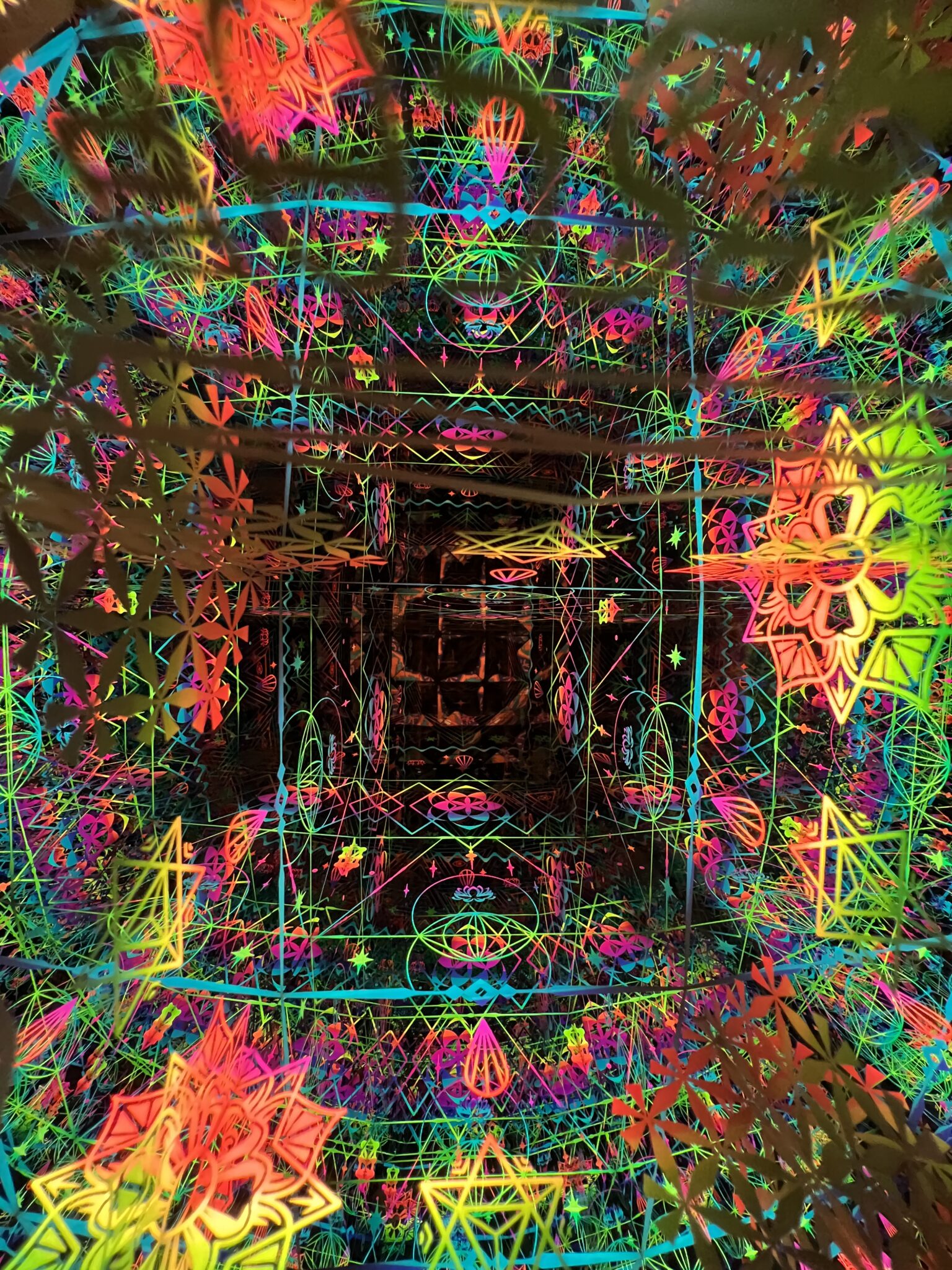 Shop – Budderscopes